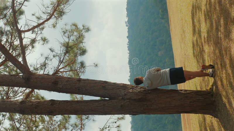 Person Relaxing Against Tree in Scenic Stock Video - Video of adult ...