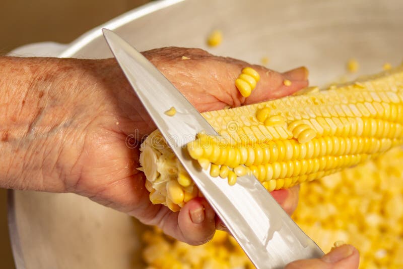 A Person S Hands Cutting Corn. Stock Photo - Image of goiania, crop ...