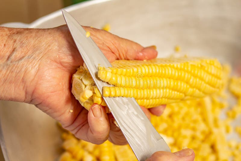 A Person S Hands Cutting Corn. Stock Image - Image of brazil, crop ...