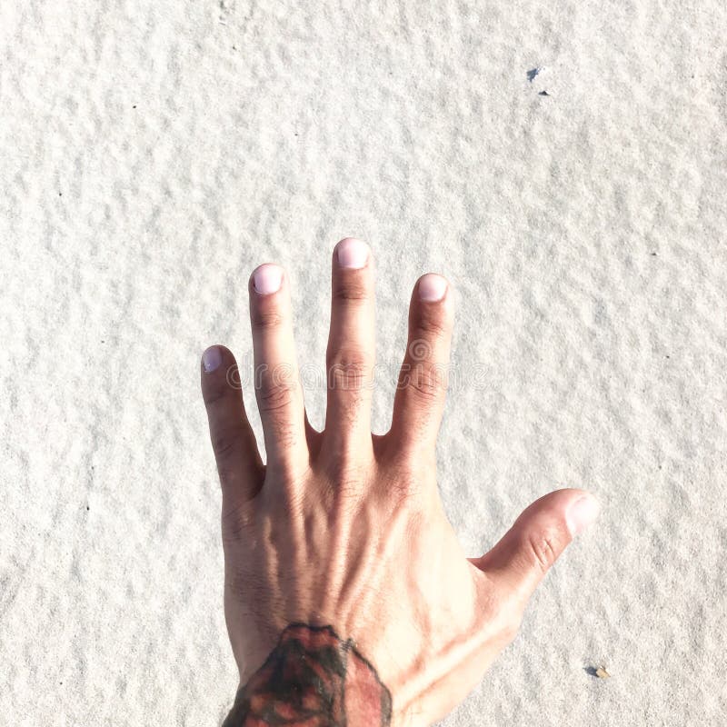 Person's Left Hand Picture. Image: 115269190