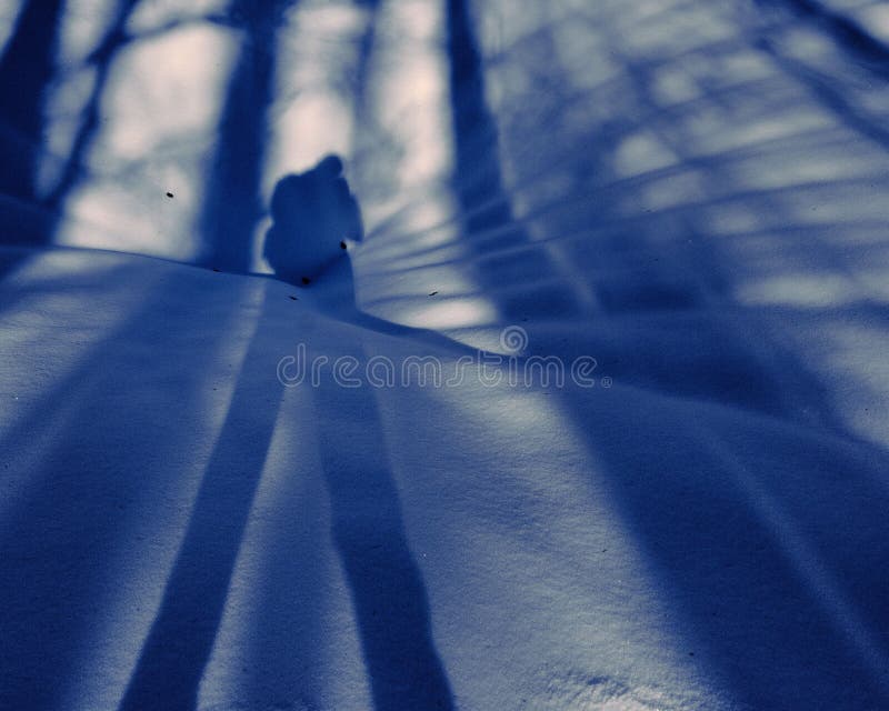 Person S Shadow on the Ground with Beautiful Blue Colors Stock Image ...