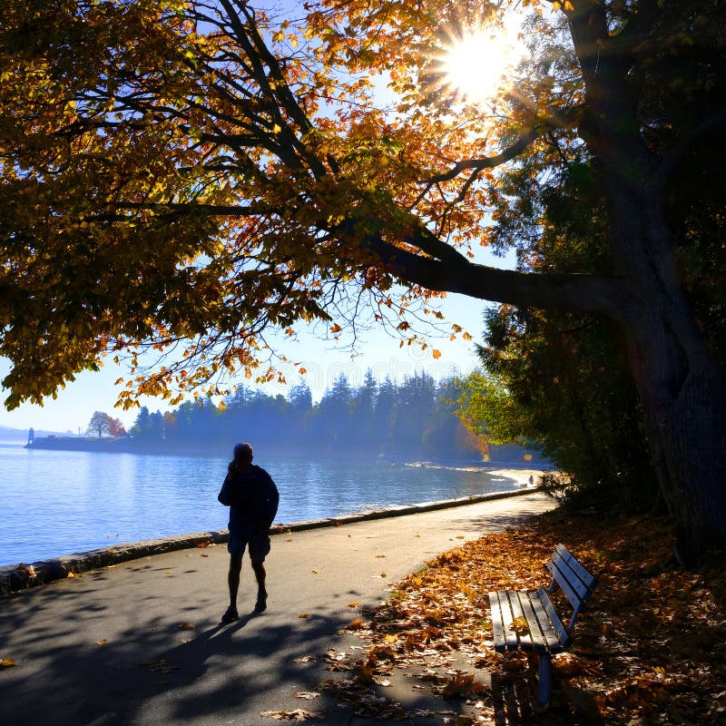 Person Silhouetted Running or Walking on Path Next To Sea and Autumn ...