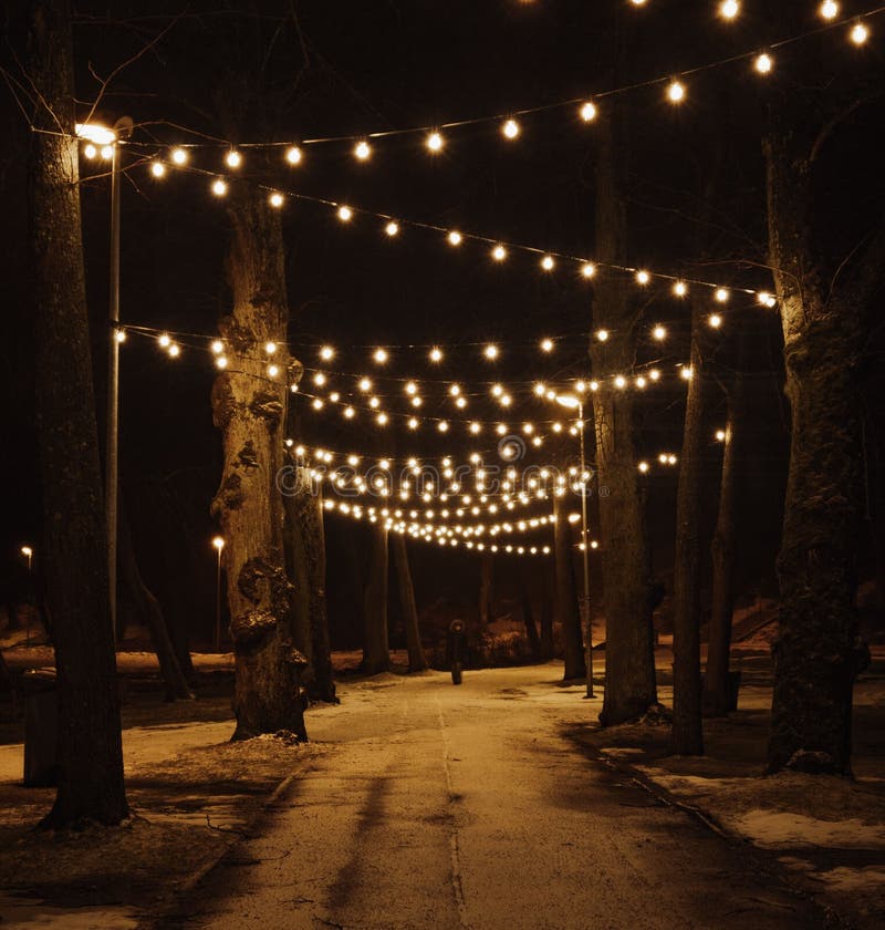 Person Standing at the End of Park Road Under Strings of Lights Hanging ...