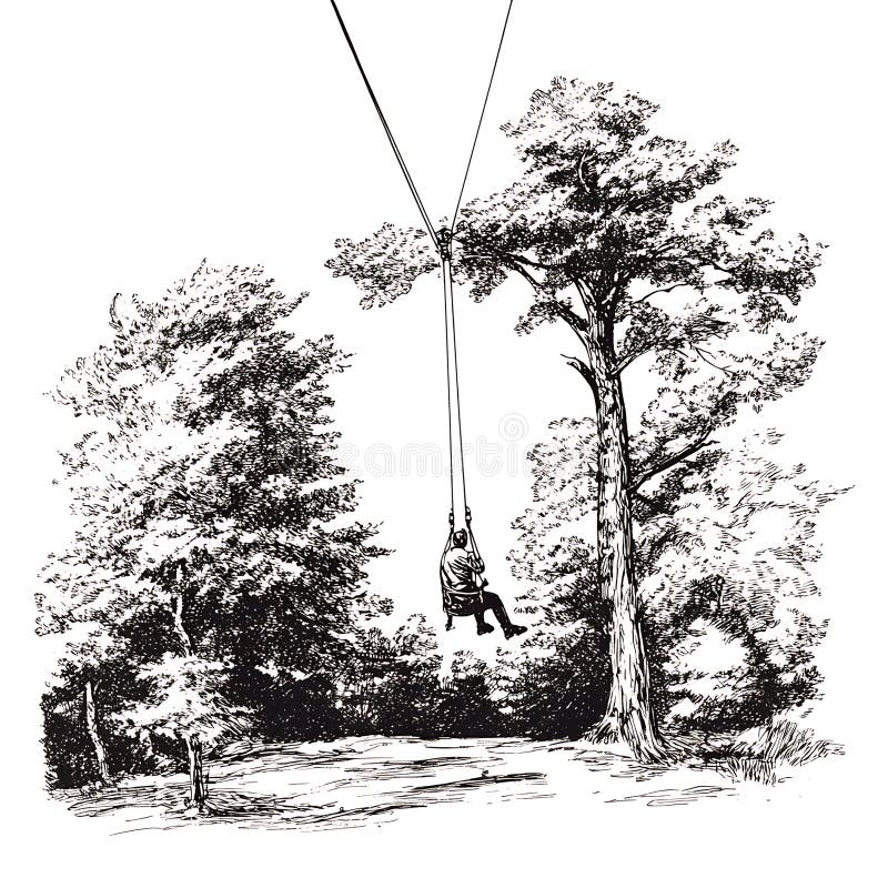 Person Swinging on a Rope Swing between Trees Stock Illustration ...