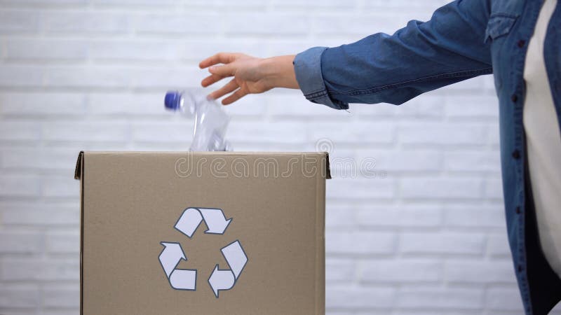 Person Throwing Plastic Bottles into Trash Bin, Sorting Non-degradable ...
