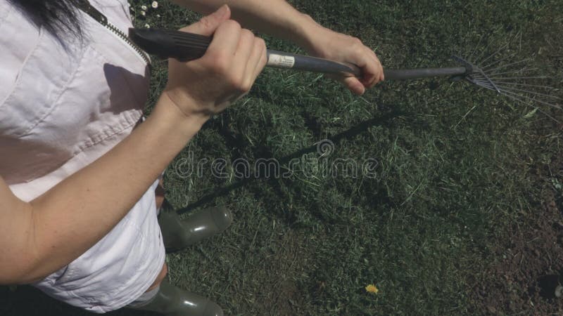Person with an Unrecognizable Face To Rakes Grass View of Rake Stock ...