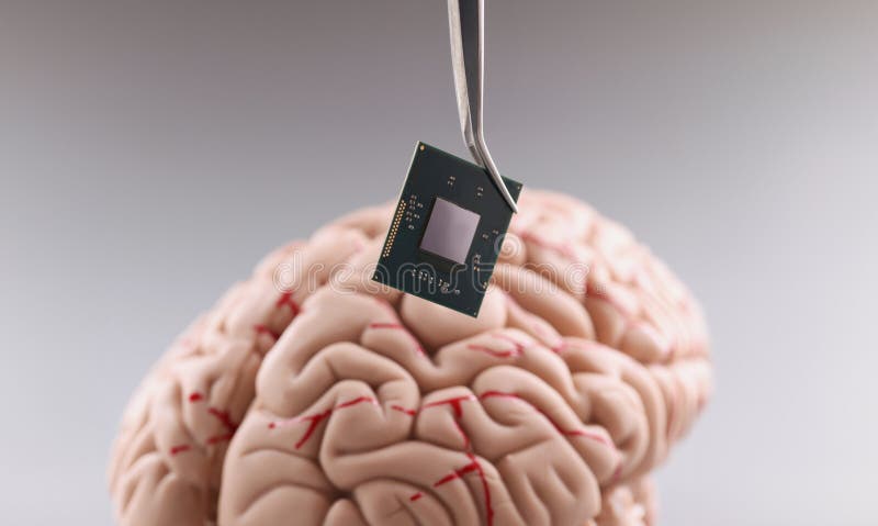 Human Brain and Computer Chip. Microprocessor in Head Stock Image ...
