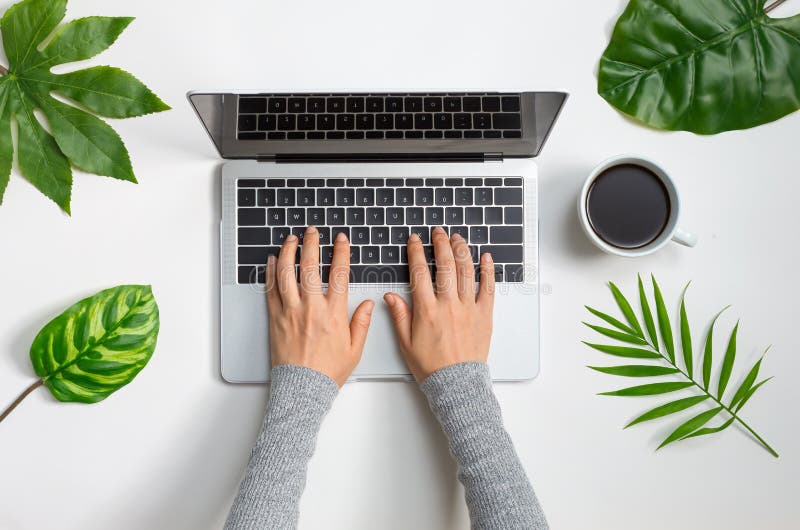 Person Using a Laptop Computer with Plant Leaves Stock Photo - Image of ...
