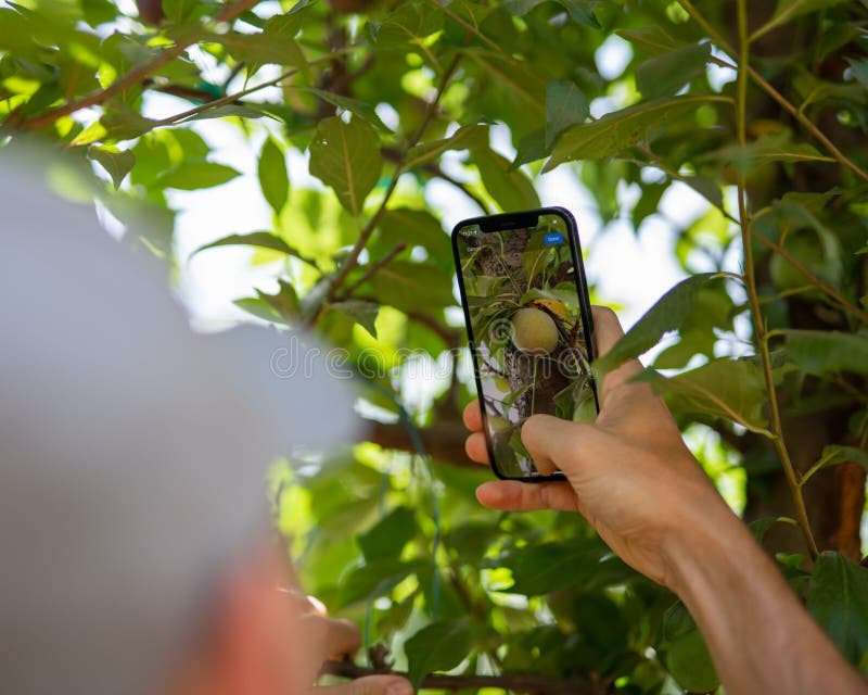 123 Count Calculate Size Stock Photos - Free & Royalty-Free Stock ...