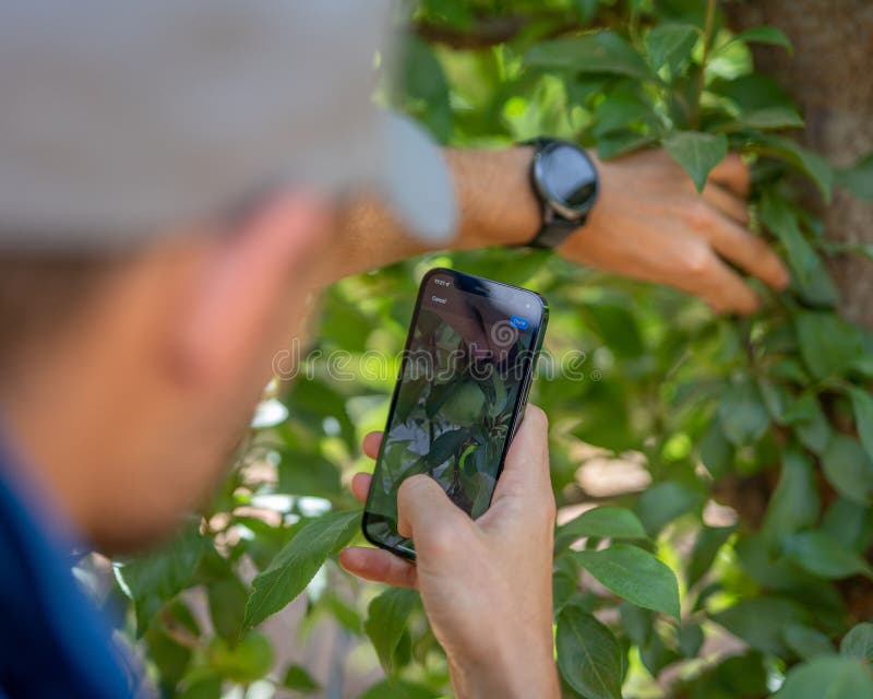 123 Count Calculate Size Stock Photos - Free & Royalty-Free Stock ...