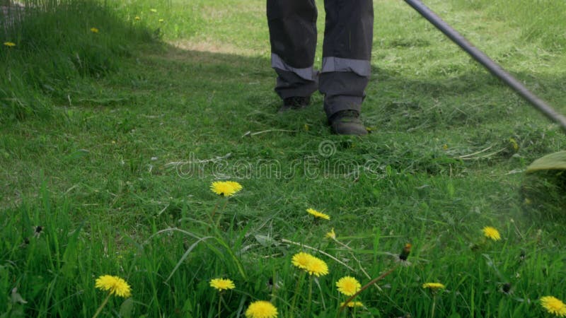 Person Using String Trimmer on Grass. Slow Motion Video Stock Footage ...