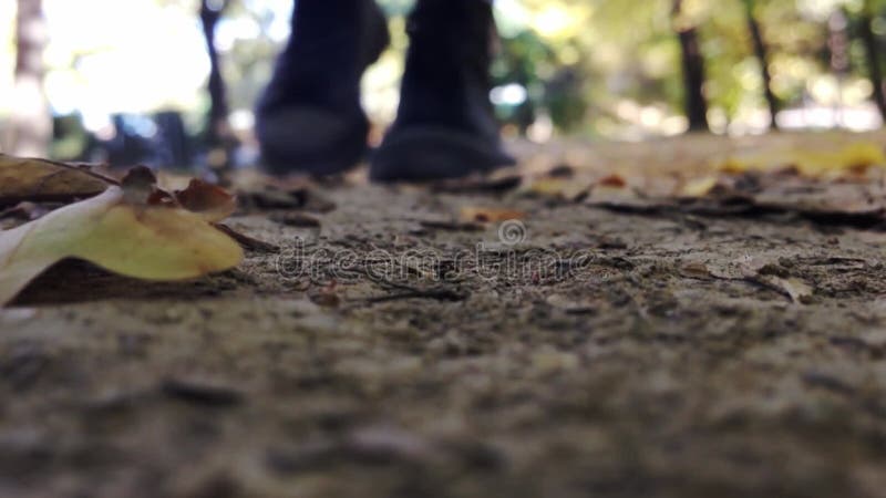 Person is Walking on a Path in a Park Stock Video - Video of sunlight ...