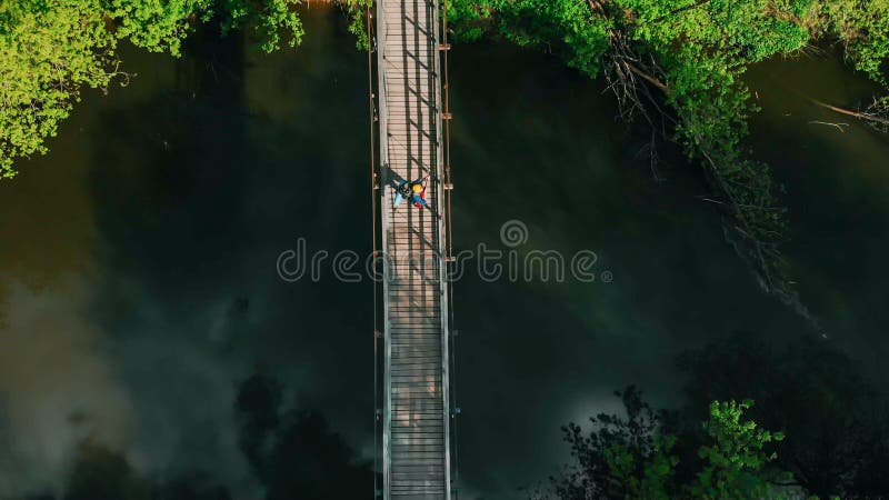 A Person Walking on the Rope Bridge in the Forest Stock Photo - Image ...