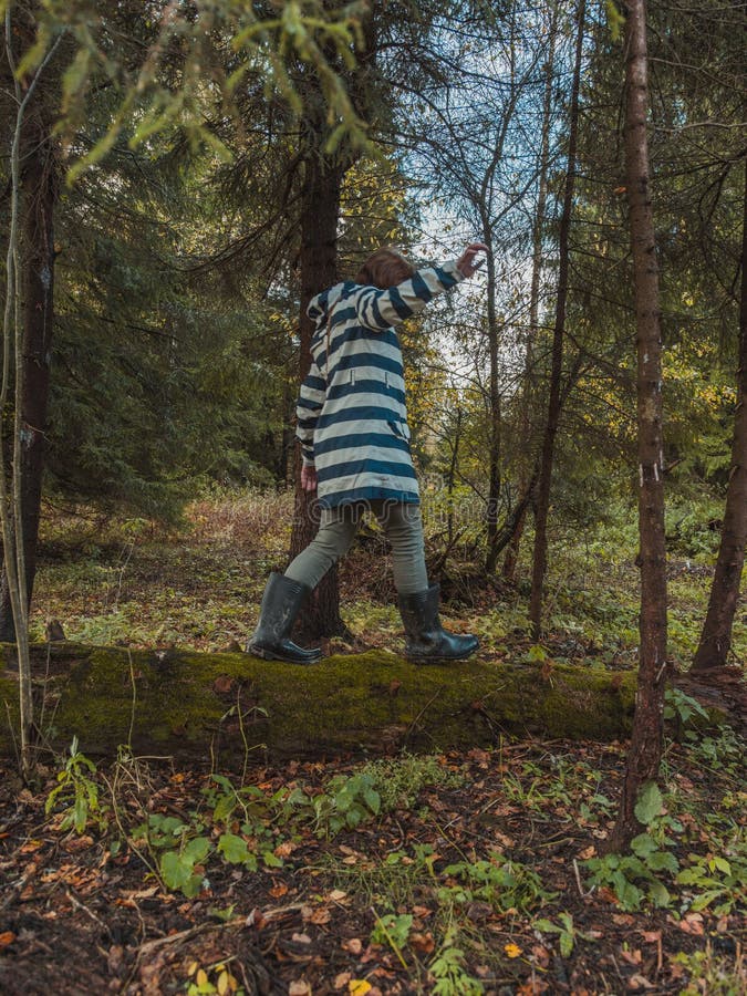 Walking tree 2 stock photo. Image of cloudforest, rainforest - 1464832