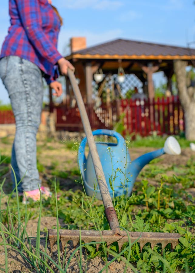 Woman Weeding Her Summer Vegetable Garden Stock Photo - Image of ...