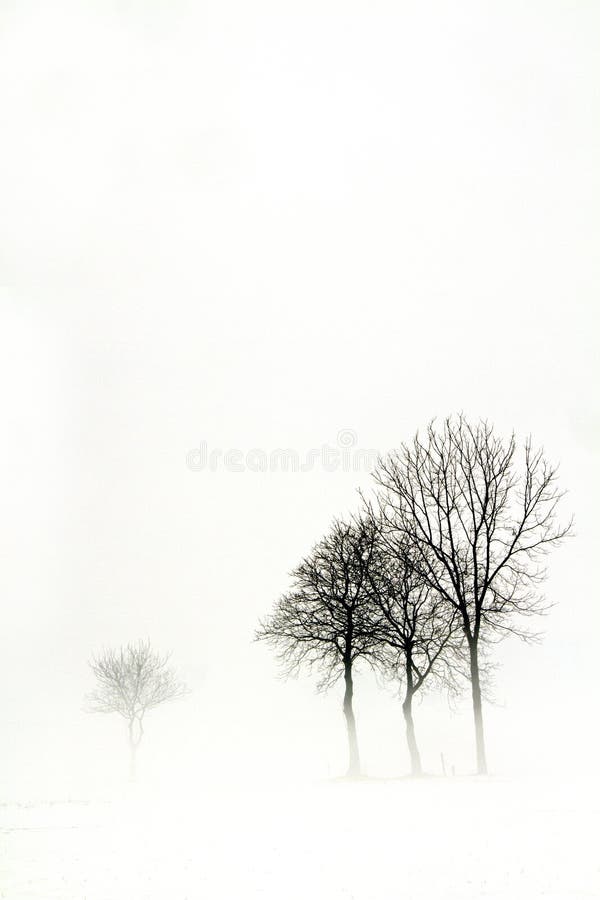 Persona Chapada a La Antigua Imagen de archivo - Imagen de paisaje ...