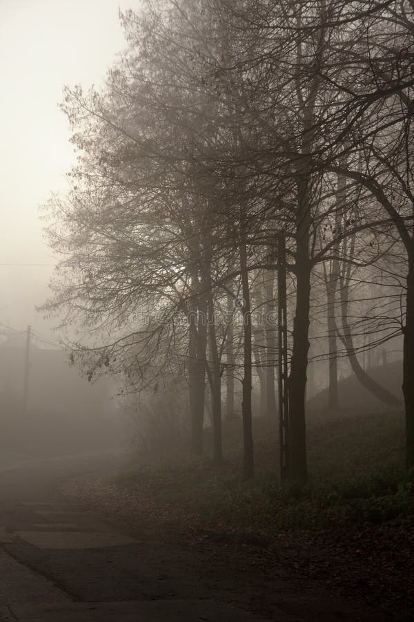 Persona Chapada A La Antigua II Imagen. Imagen: 7051511