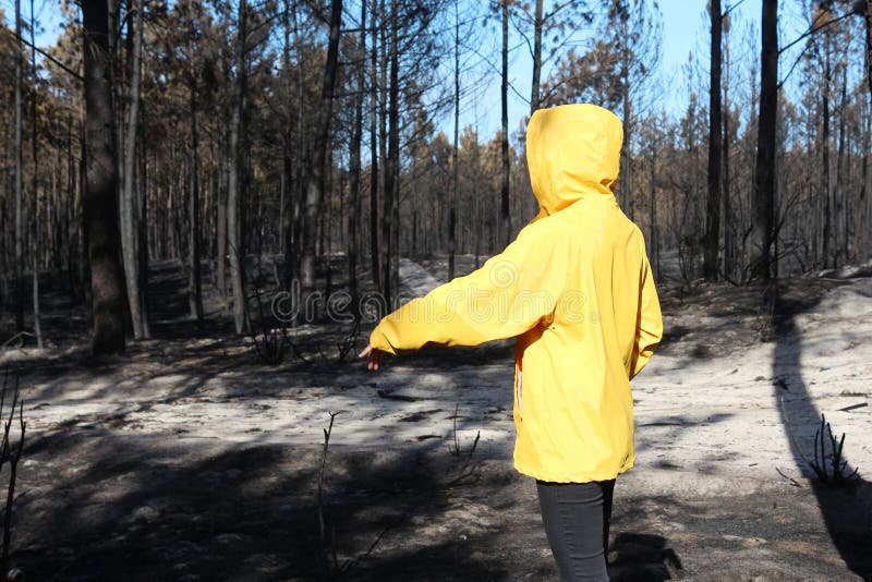 Persona En Un Bosque Quemado Imagen de archivo - Imagen de personas ...