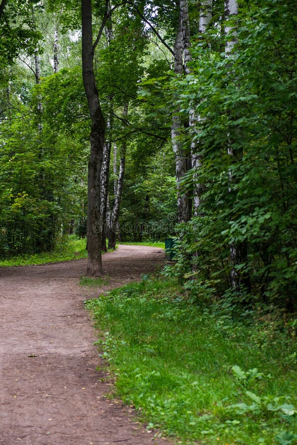 Personal Perspective of Walking on a Path in the Forest Stock Photo ...