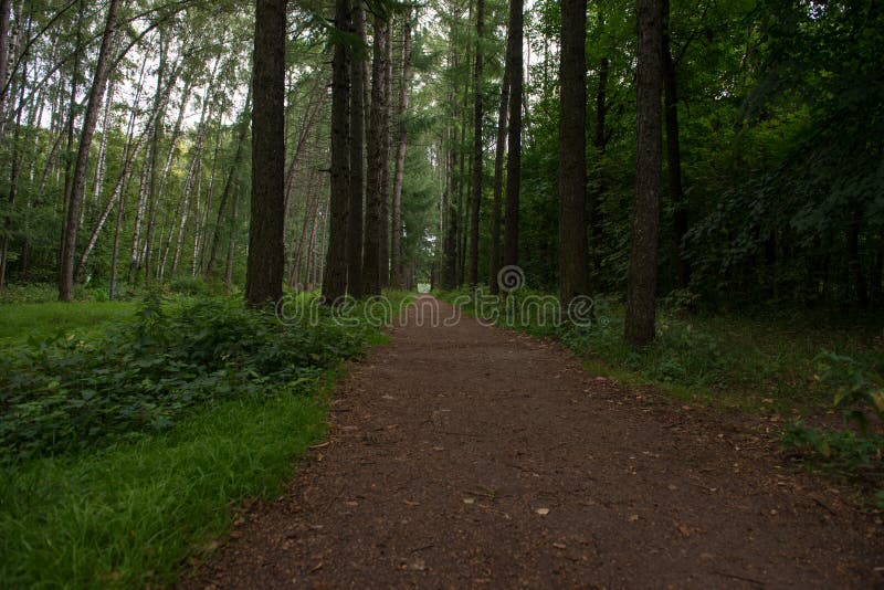 Personal Perspective of Walking on a Path in the Forest Stock Photo ...