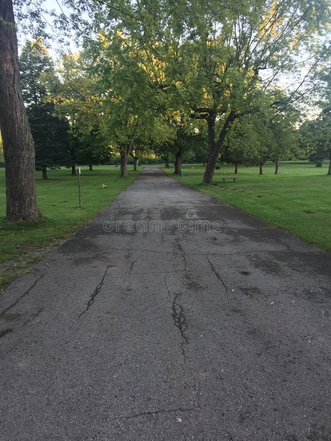 Personal Perspective of Walking on a Path in the Forest. Personal ...