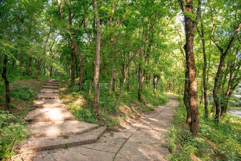Personal Perspective of Walking on a Path in the Forest Stock Photo ...