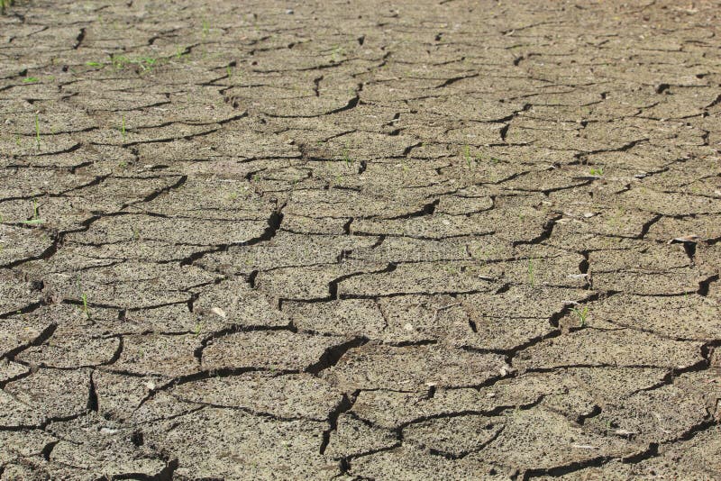Perspectiva Da Terra Seca Rachada Foto de Stock - Imagem de terra ...