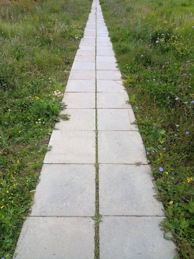 Perspectiva De Verdadeiros Pavers De Rua Imagem de Stock - Imagem de ...