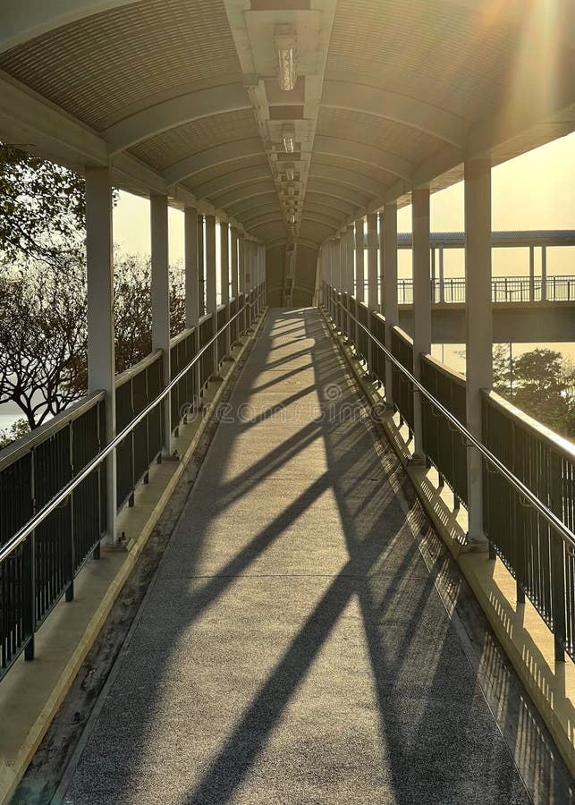 Perspective Angle View of Human Bridge with Sunlight and Shadow Near ...
