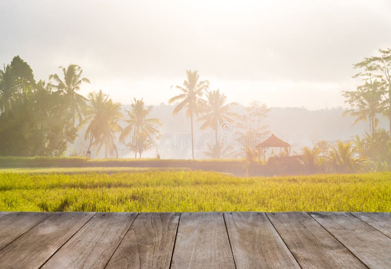 Perspective Empty Wooden Table in Front of Rice Fields and Coconut ...
