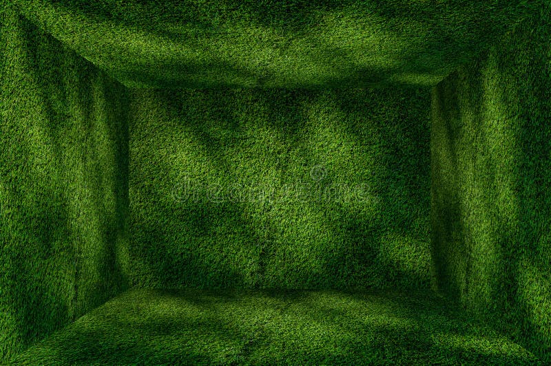 Perspective Grass Green Wall Floor Interior Background Stock Photos ...