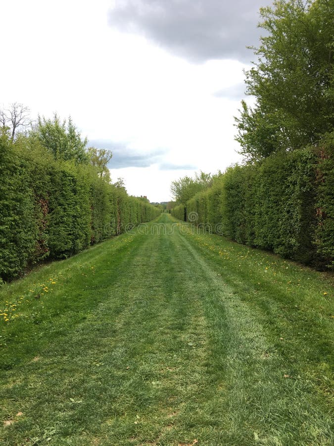 Green Car Perspective in Havana, Cuba Stock Photo - Image of outdoors ...