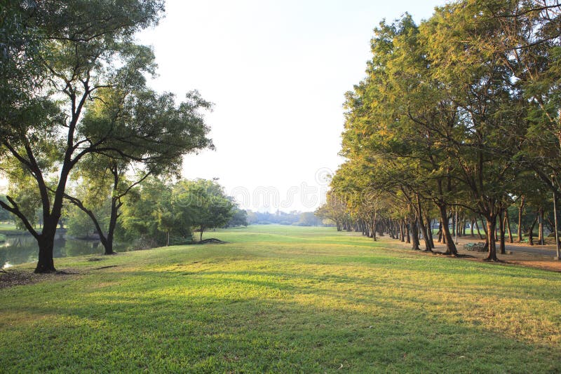 Perspective Landscape View of Public Park with Morning Light Stock ...