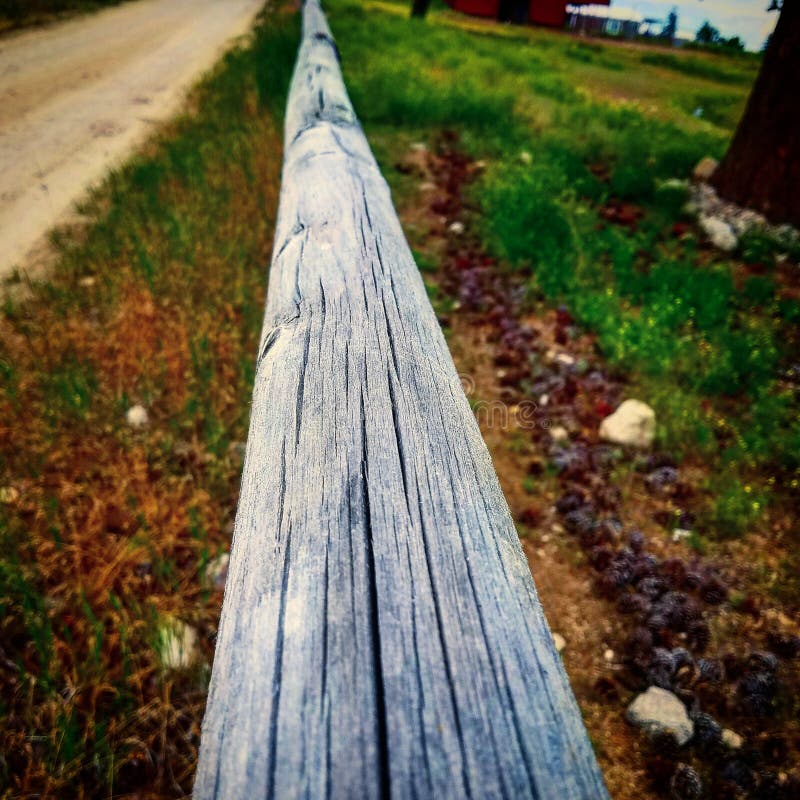 Perspective stock image. Image of logs, perspective, upclose - 95491757