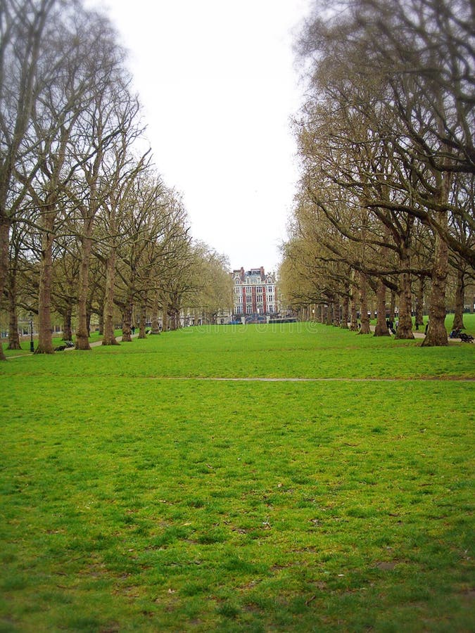 Perspective in the park stock image. Image of perspective - 76761913