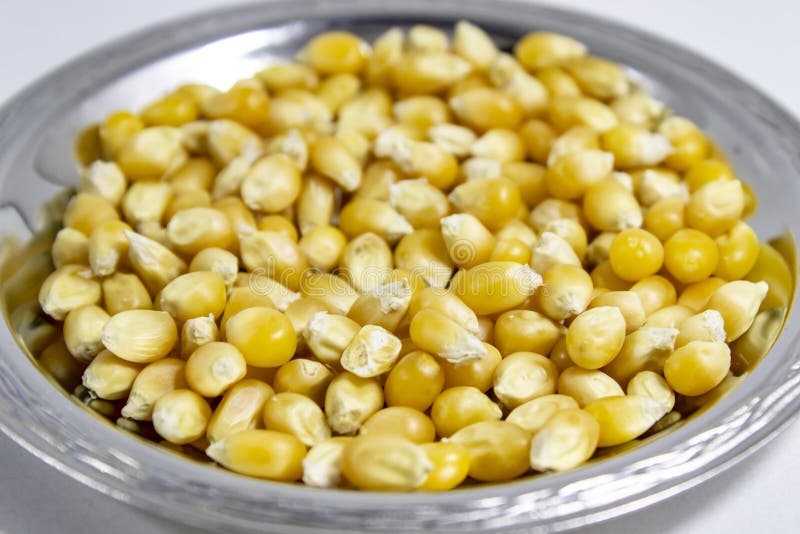 Perspective Shoot of Multiple Corn Seeds in the Metal Reflective Cup ...