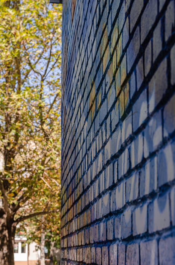 483 Bug Perspective Photos - Free & Royalty-Free Stock Photos from ...