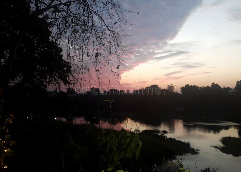 The Perspective of Trees at the Riverside on Sunset Cloud in the Sky ...