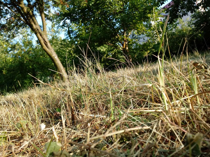 Ant's Point View 3 Stock Photos - Free & Royalty-Free Stock Photos from ...