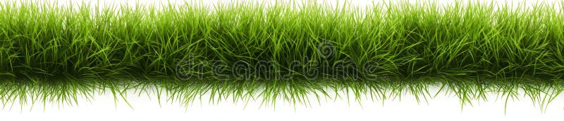 Perspective View with a Close-up of a Field of Soft Grass Stock Image ...
