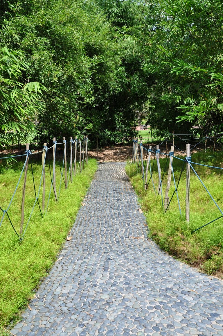 195 Sensory Pathway Stock Photos - Free & Royalty-Free Stock Photos ...