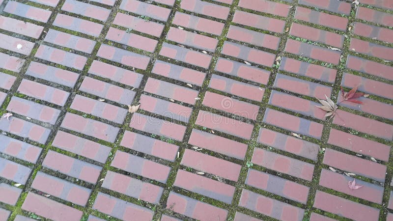 Perspective View of Colorful Brick Stone Street Road Stock Image ...