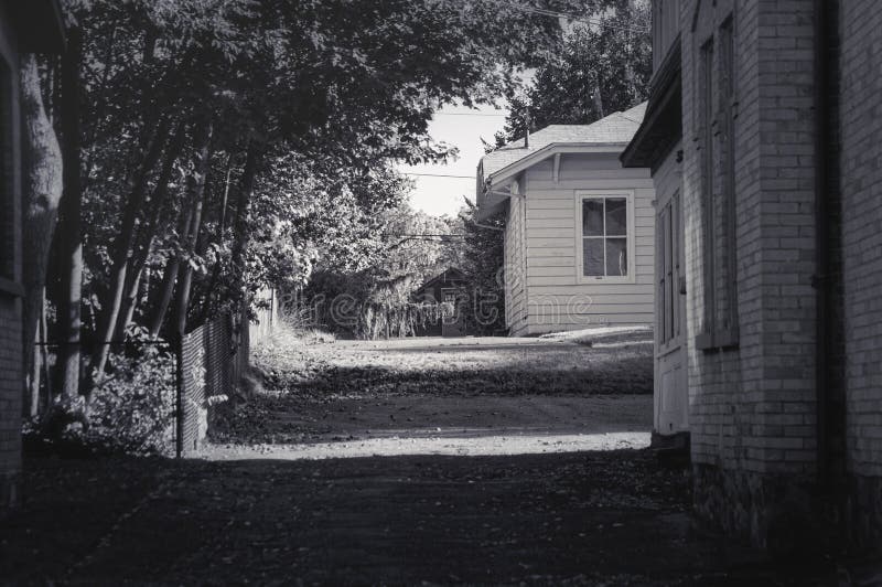 Perspective View of Old House Backyard with Trees. Black and White ...