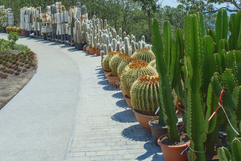 Oversized Types Clothes Stock Photos - Free & Royalty-Free Stock Photos ...