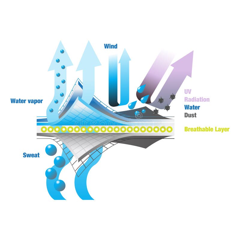 Perspiration and Waterproof Clothing Description Stock Vector ...