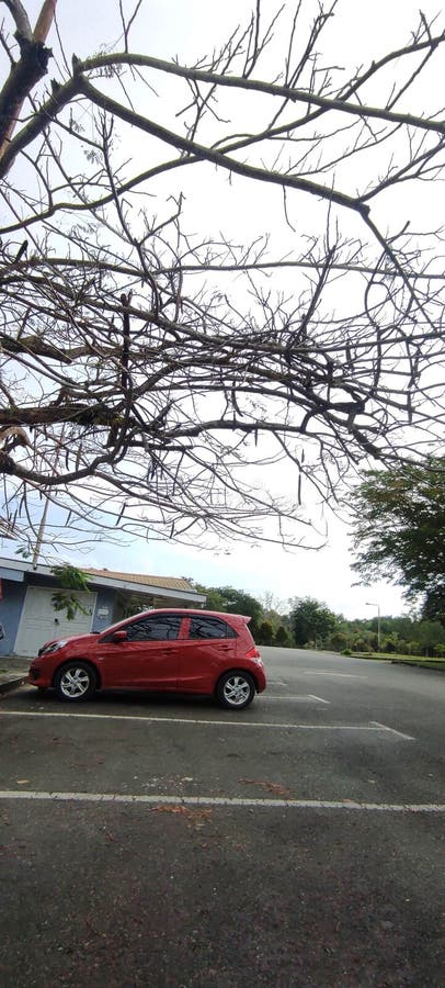 Pertamina Complex in Duri City Stock Image - Image of plant, wall ...