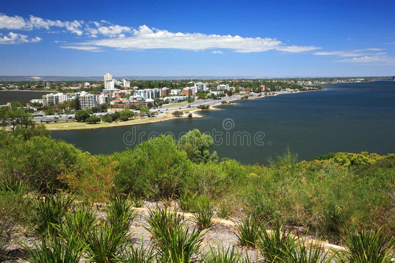 Río Del Cisne - Perth Australia Occidental Imagen de archivo - Imagen ...