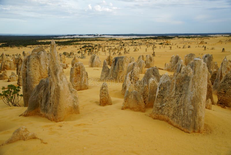 Perth the Pinnacles Desert stock image. Image of sand - 94521705