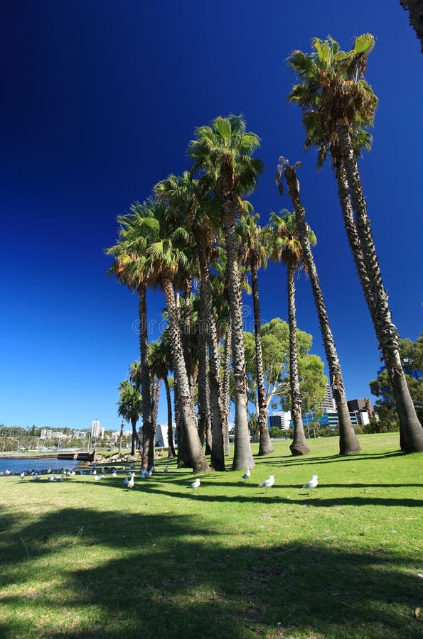 Swan River - Perth Western Australia Stock Image - Image of view, perth ...