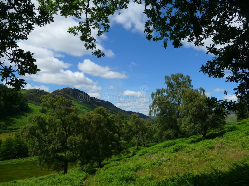 A Perthshire Glen, Scotland Stock Image - Image of field, blue: 10109245